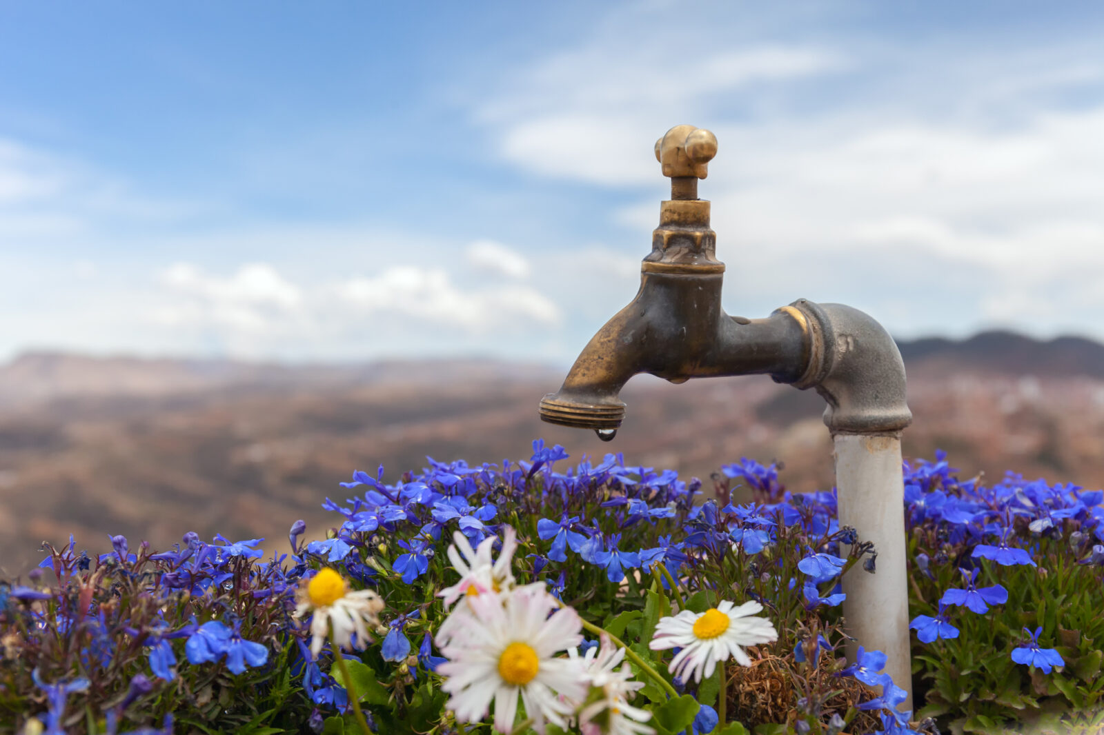 Plumbing System: Spring Cleaning Checklist